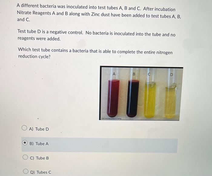 Solved A different bacteria was inoculated into test tubes | Chegg.com