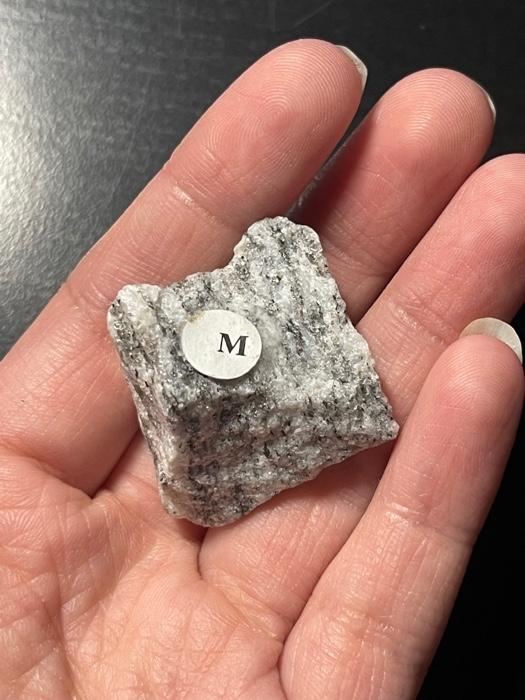 Solved EXERCISE 1: METAMORPHIC ROCK IDENTIFICATION In | Chegg.com