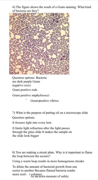 Solved 6) The figure shows the result of a Gram staining. | Chegg.com
