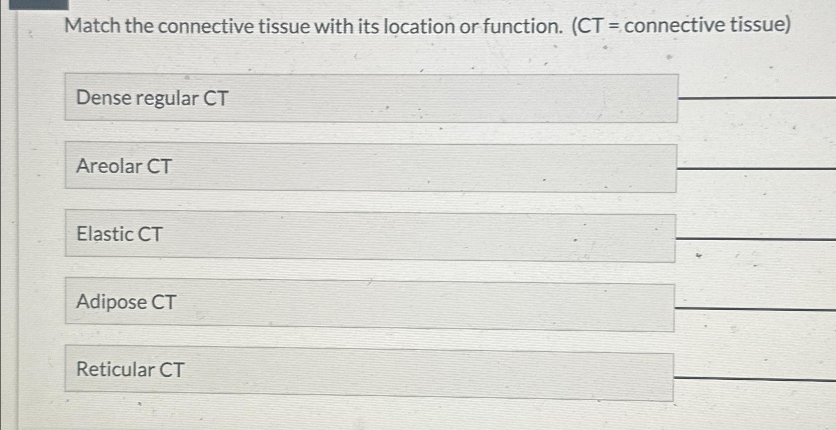Solved Match the connective tissue with its location or | Chegg.com Solved Match the connective tissue with its location or | Chegg.com