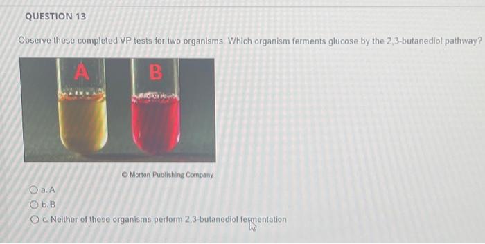 Solved QUESTION 13 Observe these completed VP tests for two | Chegg.com