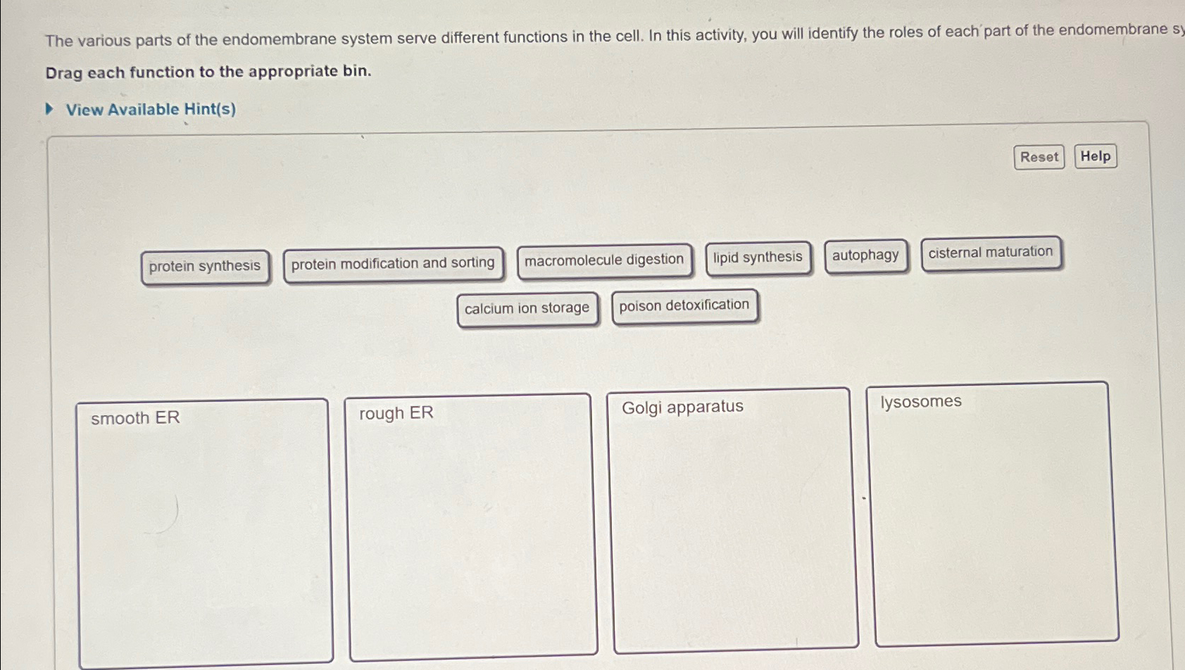 Solved The various parts of the endomembrane system serve | Chegg.com