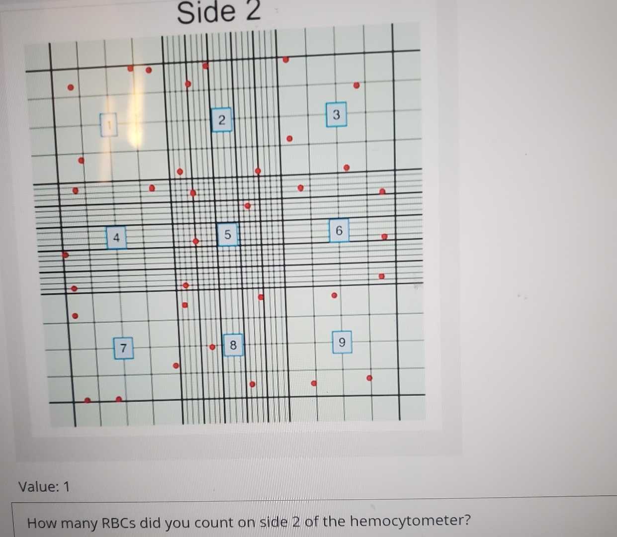 Solved Value: 1How many RBCs did you count on side 2 ﻿of the | Chegg.com
