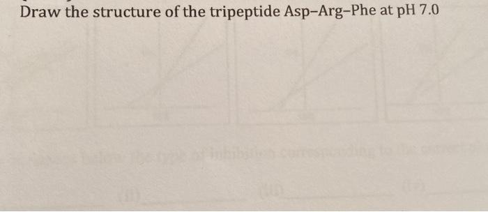 Solved Draw the structure of the tripeptide Asp-Arg-Phe at | Chegg.com