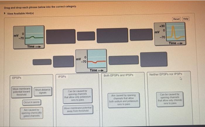 Solved Drag and drop each phrase below into the correct | Chegg.com