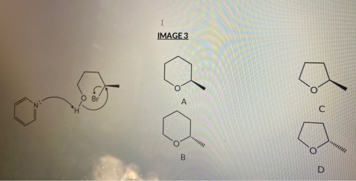 Solved The rate law expression for SN2 reactions is | Chegg.com