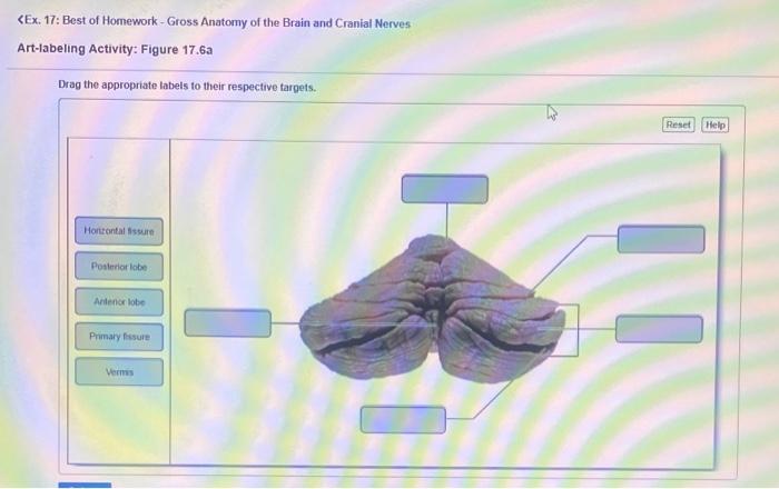 Solved Question | Chegg.com