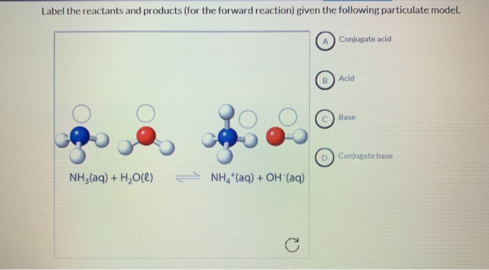 Solved Label the conjugate acid-base pairs in the reaction | Chegg.com
