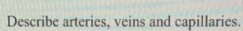 Solved Describe arteries, veins and capillaries. | Chegg.com