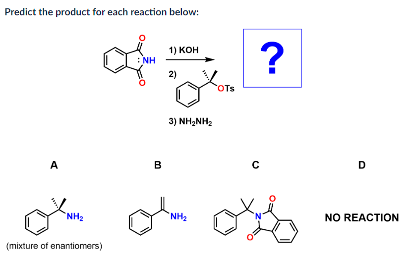 Solved Predict the product for each reaction below:ABCDNO | Chegg.com