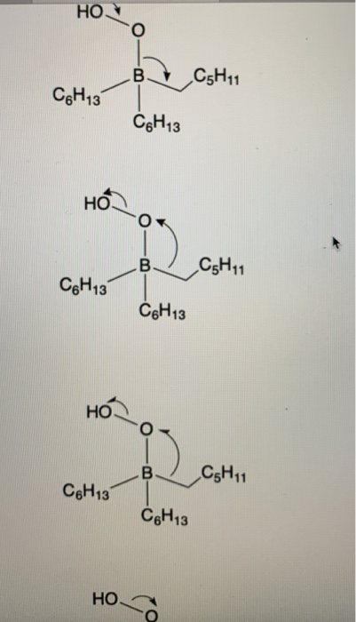 Solved НО. В. C5H11 Сенз C6H13 НО B C5H11 CH13 C6H13 НО. o | Chegg.com