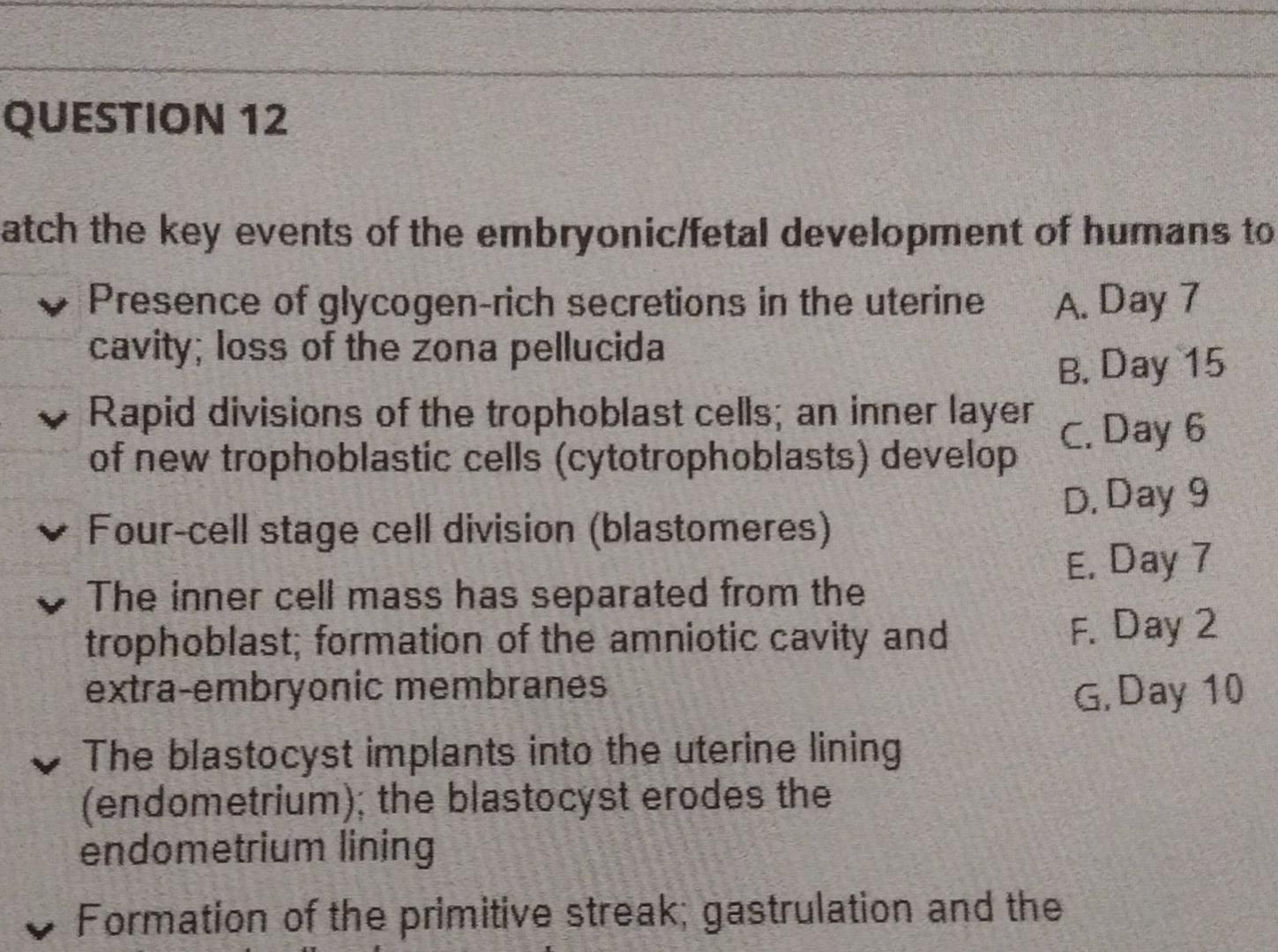 Solved tch the key events of the embryonic/fetal development | Chegg.com