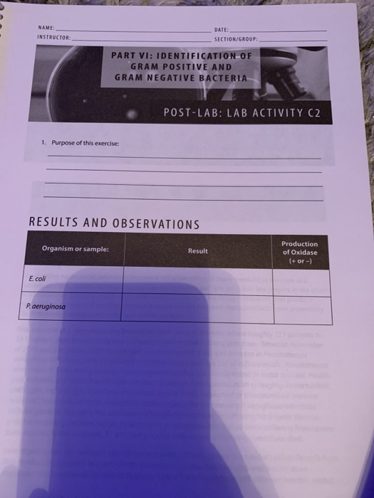 Solved UU PART VI: IDENTIFICATION OF GRAM POSITIVE AND GRAM | Chegg.com