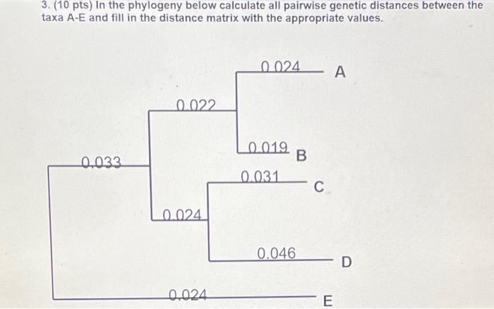 Solved 3. (10 pts) In the phylogeny below calculate all | Chegg.com