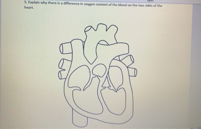 Solved Questions Styles 1. Label the following on Figure 1 | Chegg.com