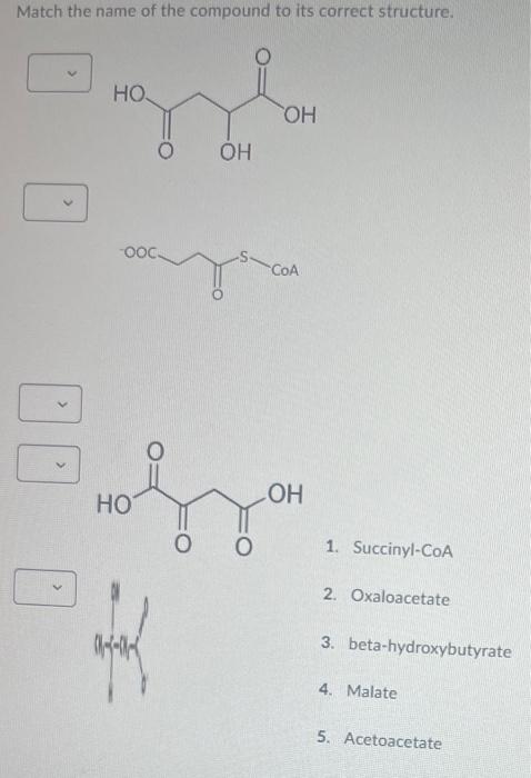 Solved Match the name of the compound to its correct | Chegg.com