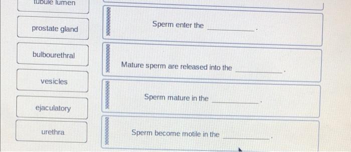Solved Fill in the missing item in each sentence, and then | Chegg.com