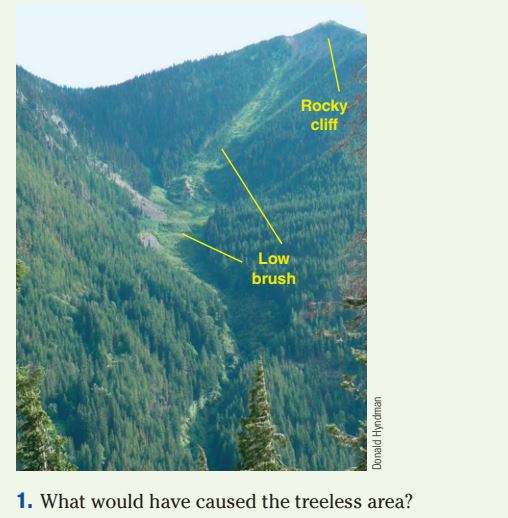 Solved What would have caused the treeless area? | Chegg.com