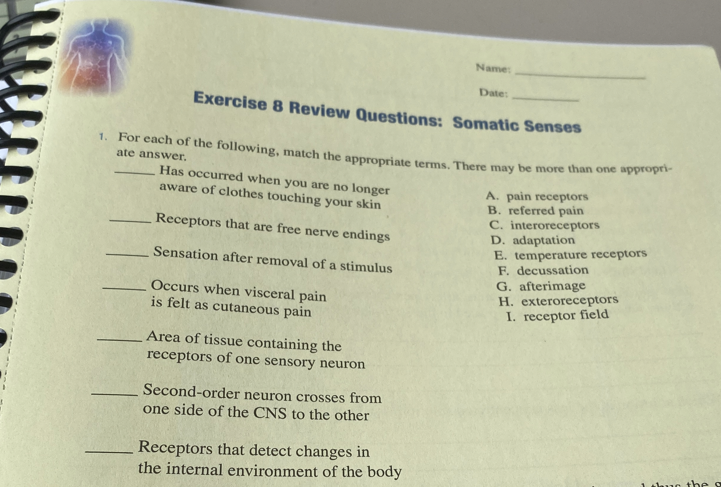 Solved Exercise 8 ﻿Review Questions: Somatic SensesFor each | Chegg.com
