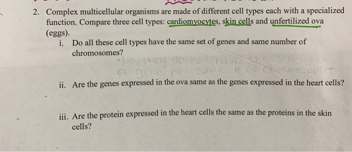 Solved 2. Complex multicellular organisms are made of | Chegg.com