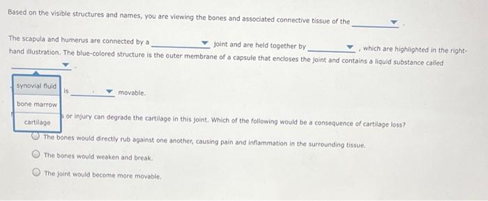 Solved 1. Joints in the human body In the vertebrate | Chegg.com