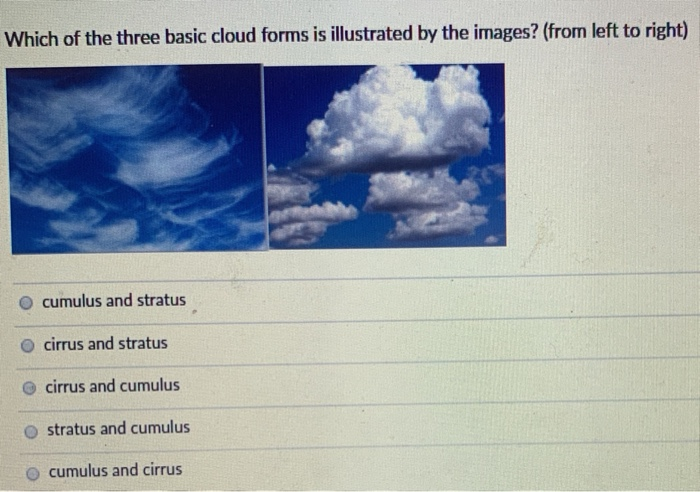 Solved Which of the three basic cloud forms is illustrated | Chegg.com