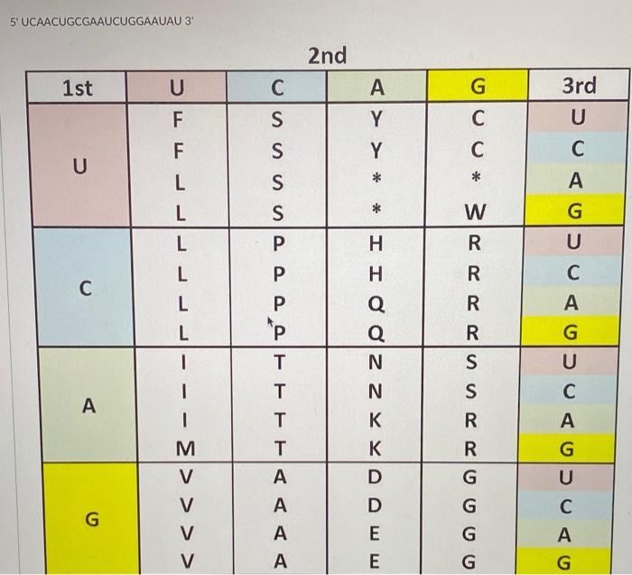 Solved translate the following RNA sequence by using the | Chegg.com