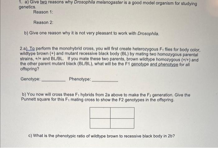 Solved 1. a) Give two reasons why Drosophila melanogaster is | Chegg.com