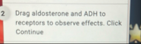 Solved 2 ﻿Drag aldosterone and ADH to receptors to observe | Chegg.com