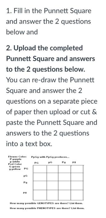 Solved 1. Fill in the Punnett Square and answer the 2 | Chegg.com