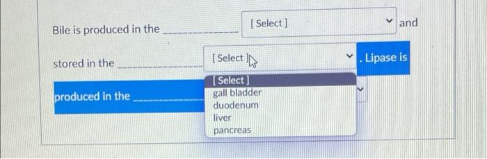 Solved Bile is produced in the [ Select] and stored in the [ | Chegg.com