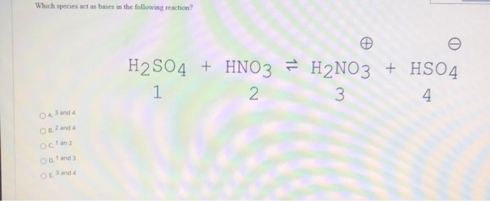 Solved Which species act as bases in the following reaction? | Chegg.com