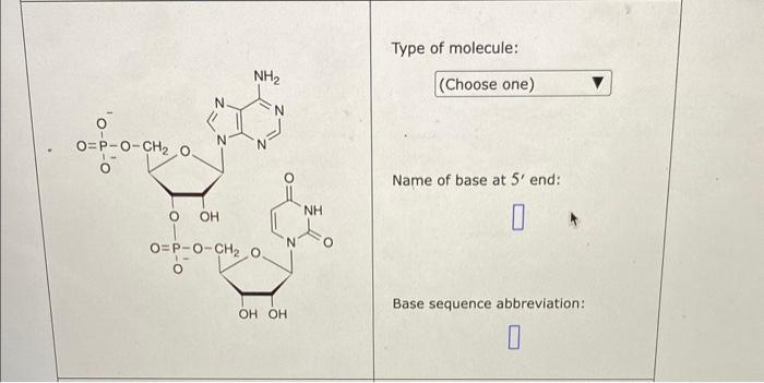Solved For each molecule in the table below: - Classify the | Chegg.com