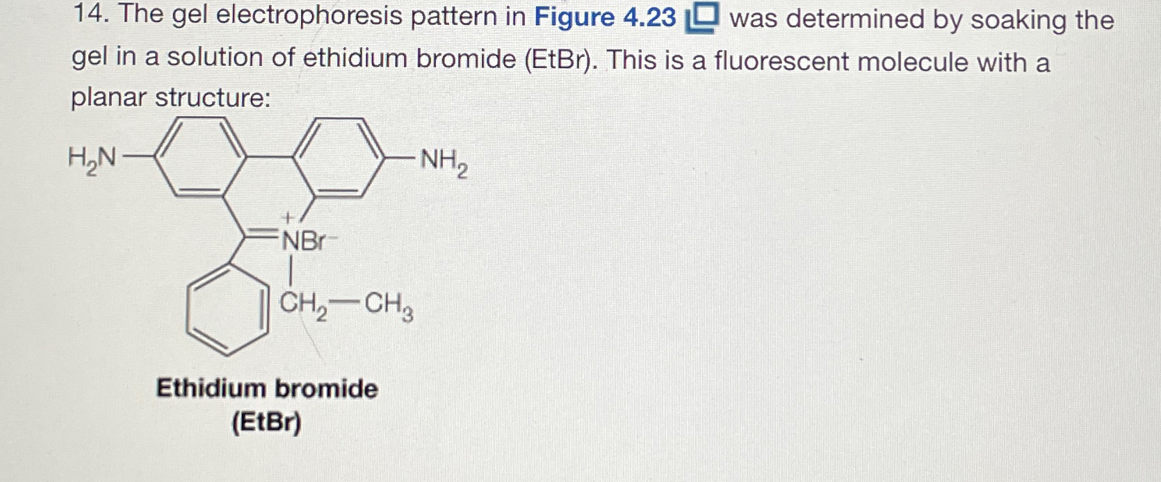 The gel electrophoresis pattern in Figure 4.23 ﻿was | Chegg.com