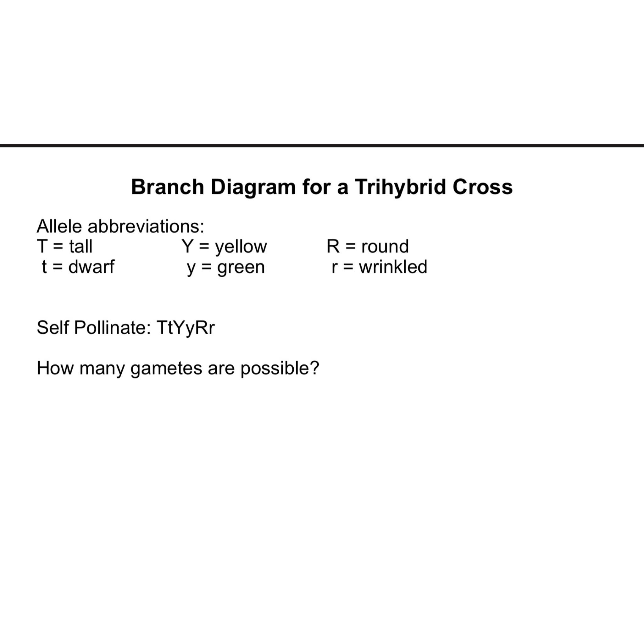 Solved Branch Diagram for a Trihybrid CrossAllele | Chegg.com