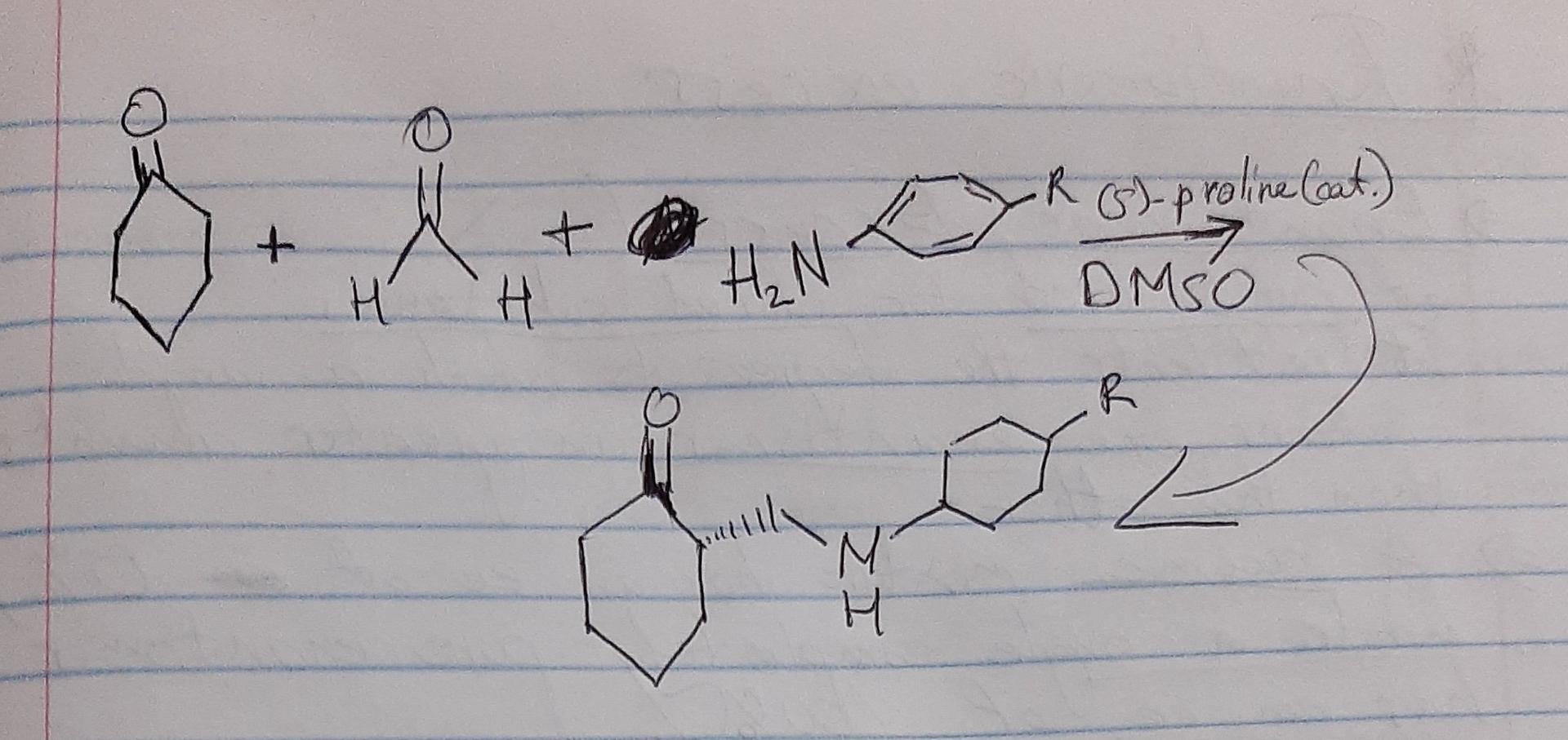 Solved what is the purpose of s-proline in this reaction? | Chegg.com