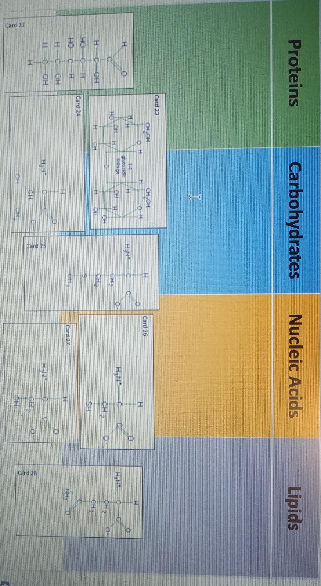 Card 6Nucleic Acids LipidsLipids Card 19Proteins | Chegg.com