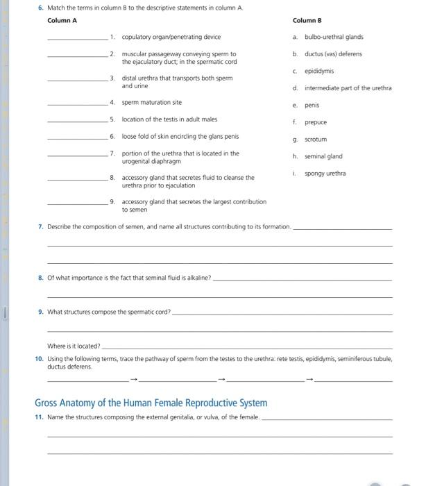 Solved 2. Identify all indicated structures or portions of | Chegg.com