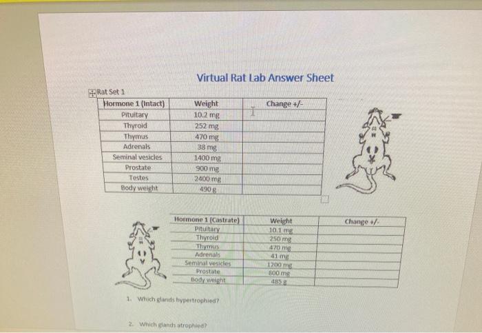 Solved Virtual Rat Lab Answer Sheet Rat Set 1 Weight Change | Chegg.com