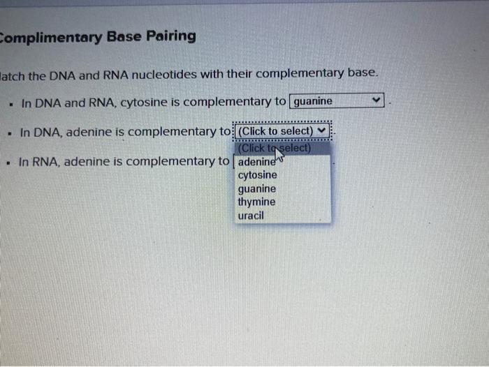 Solved Complimentary Base Pairing Match the DNA and RNA | Chegg.com