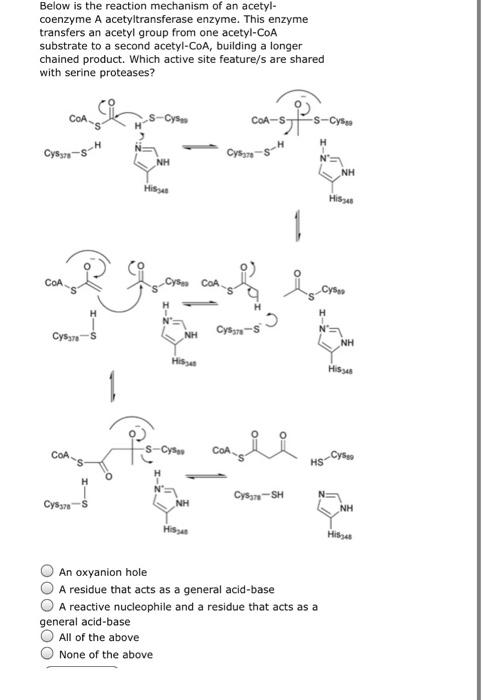 Solved Below is the reaction mechanism of an acetyl- | Chegg.com