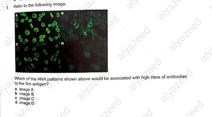 Solved Refer to the following image. Which of the ANA | Chegg.com