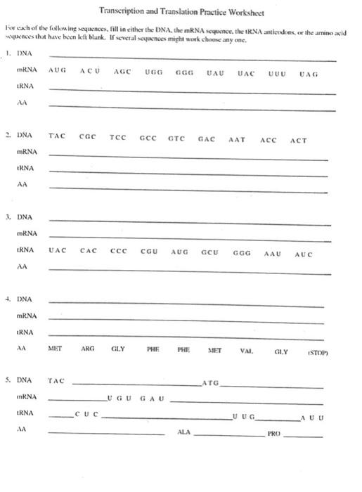 Solved Period Directions Date 1. Transcribe the DNA | Chegg.com Solved Period Directions Date 1. Transcribe the DNA | Chegg.com