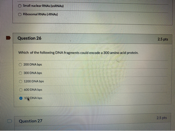 Solved O Small nuclear RNAs (SRNAs) O Ribosomal RNAs (rRNAs) | Chegg.com