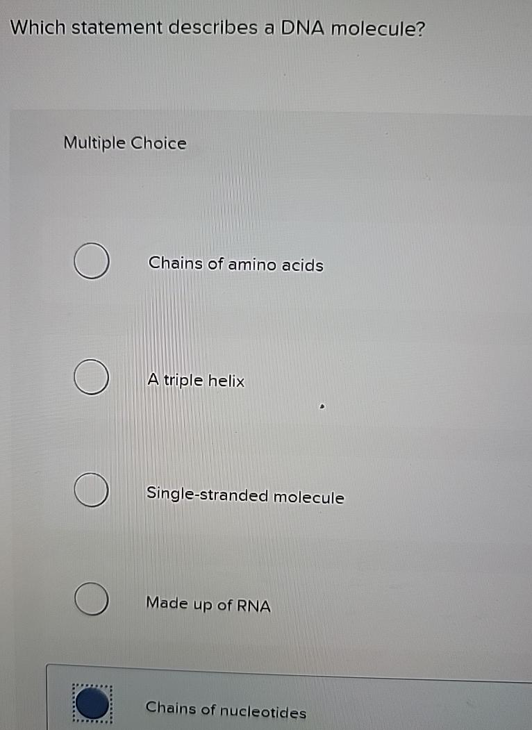 Solved Which statement describes a DNA molecule?Multiple | Chegg.com