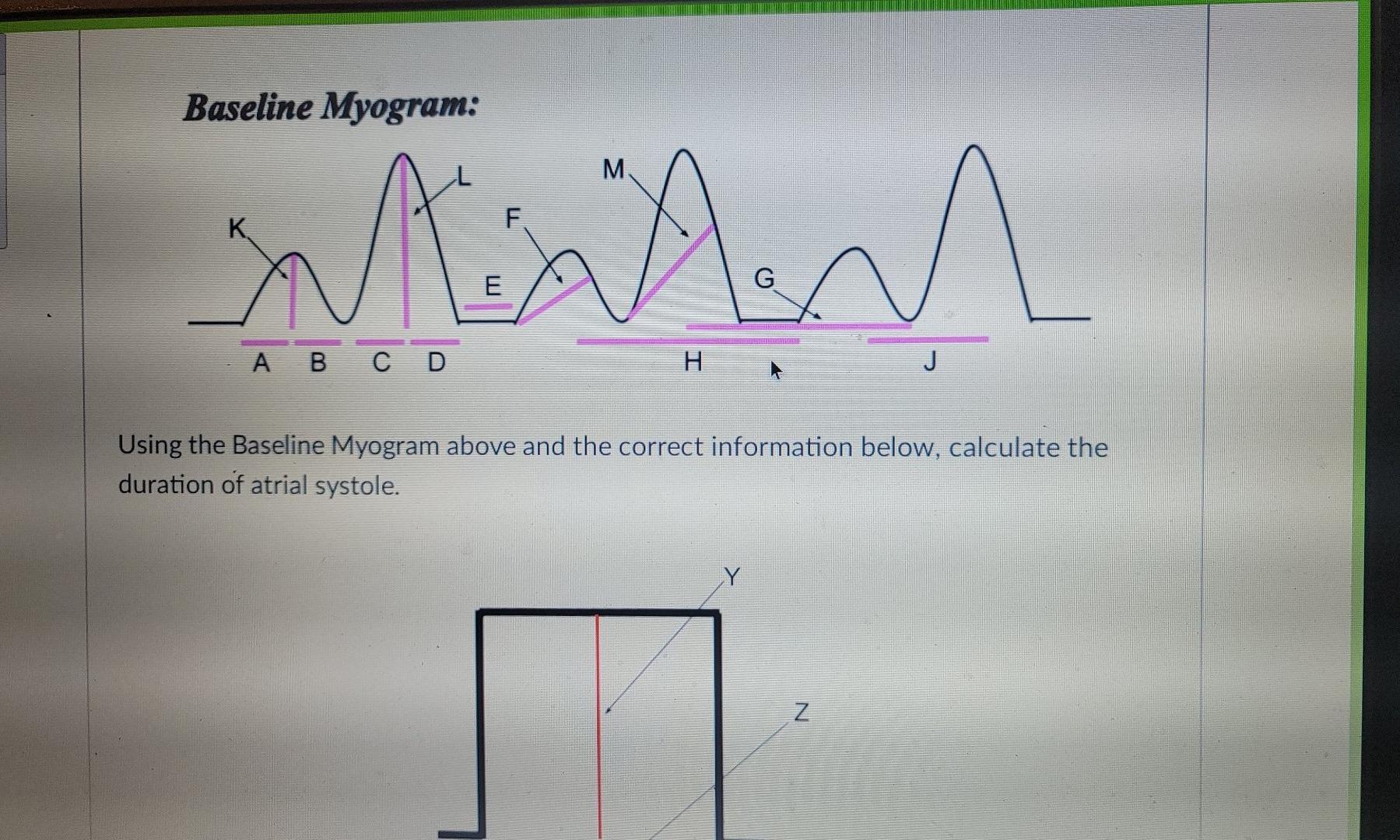 Solved Baseline Myogram: M. К. A B C D J Using the Baseline | Chegg.com