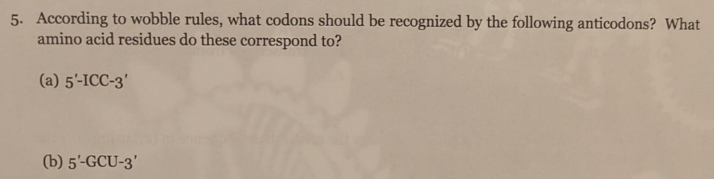 Solved According to wobble rules, what codons should be | Chegg.com