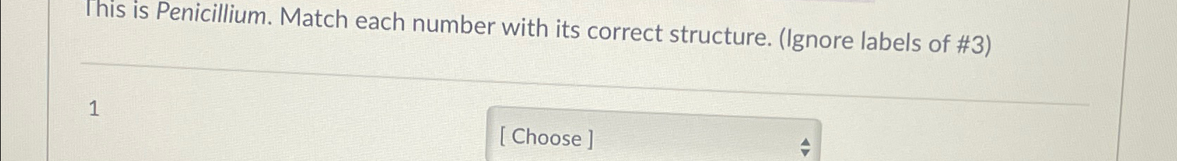 Solved This is Penicillium. Match each number with its | Chegg.com