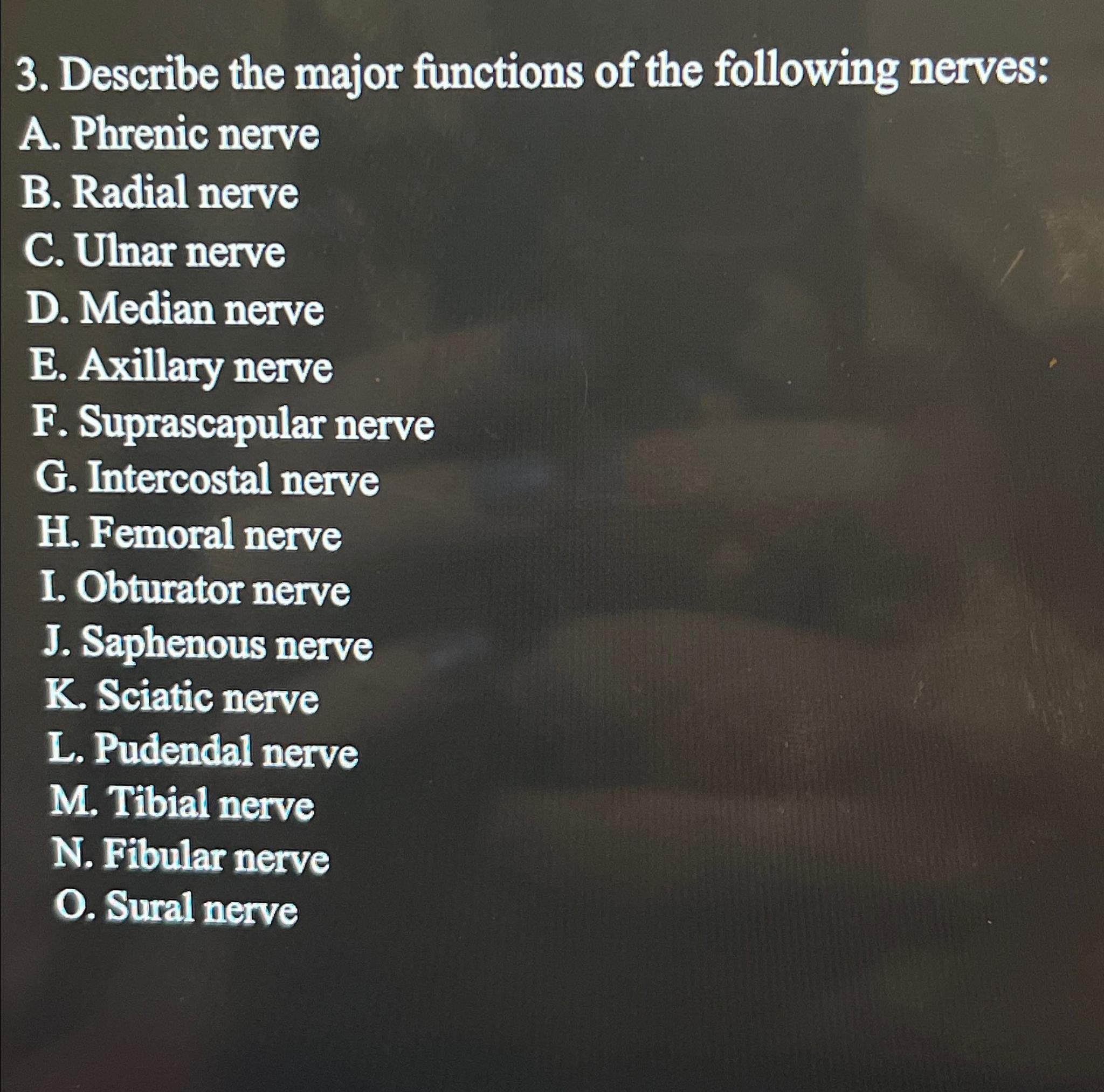 Describe the major functions of the following | Chegg.com