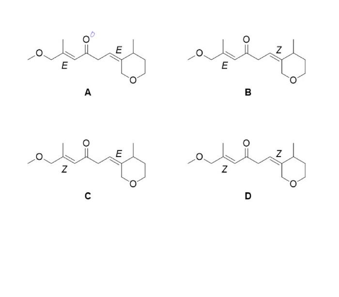 Solved A B C D | Chegg.com